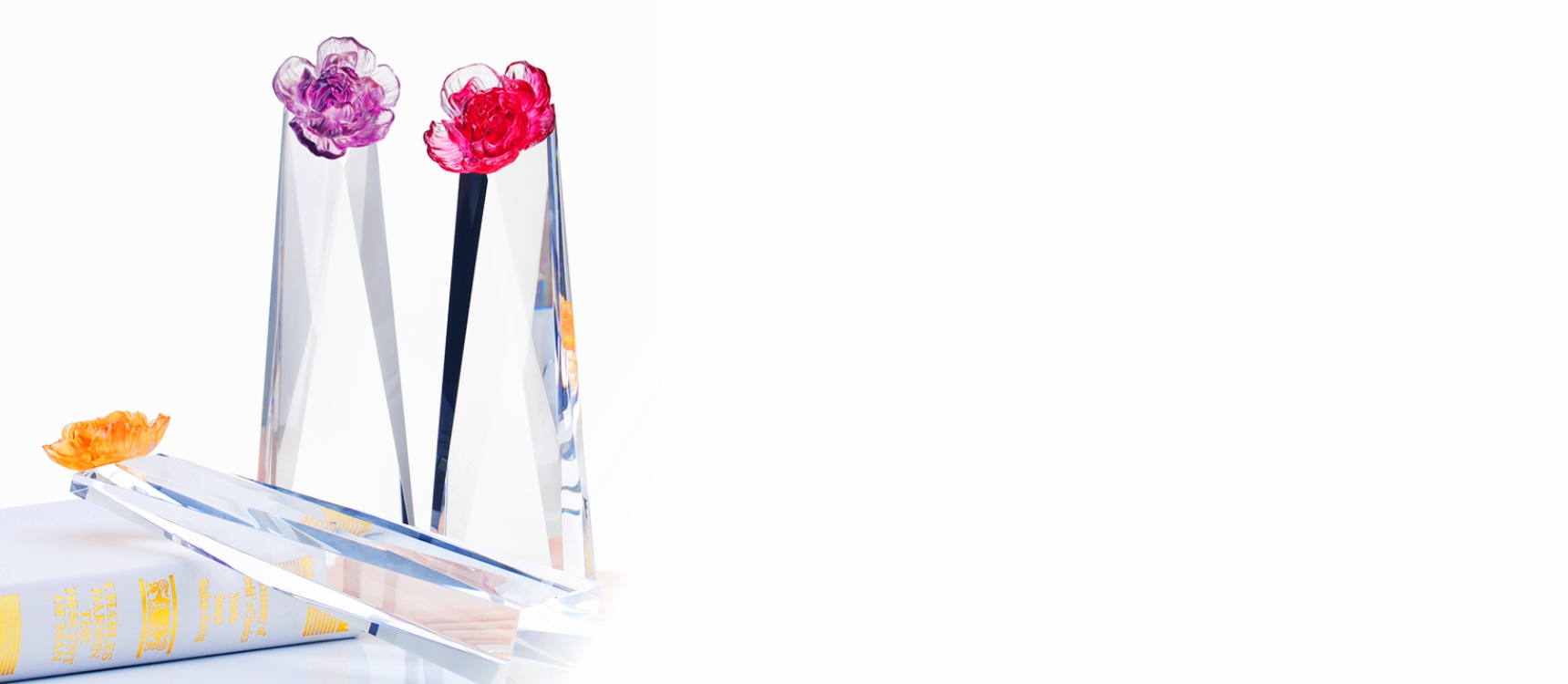 QUÀ TẶNG QUỐC GIA QQG - QUAQUOCGIA.COMTẶNG PHẨM VINH DANH CAO CẤP - QQG ...